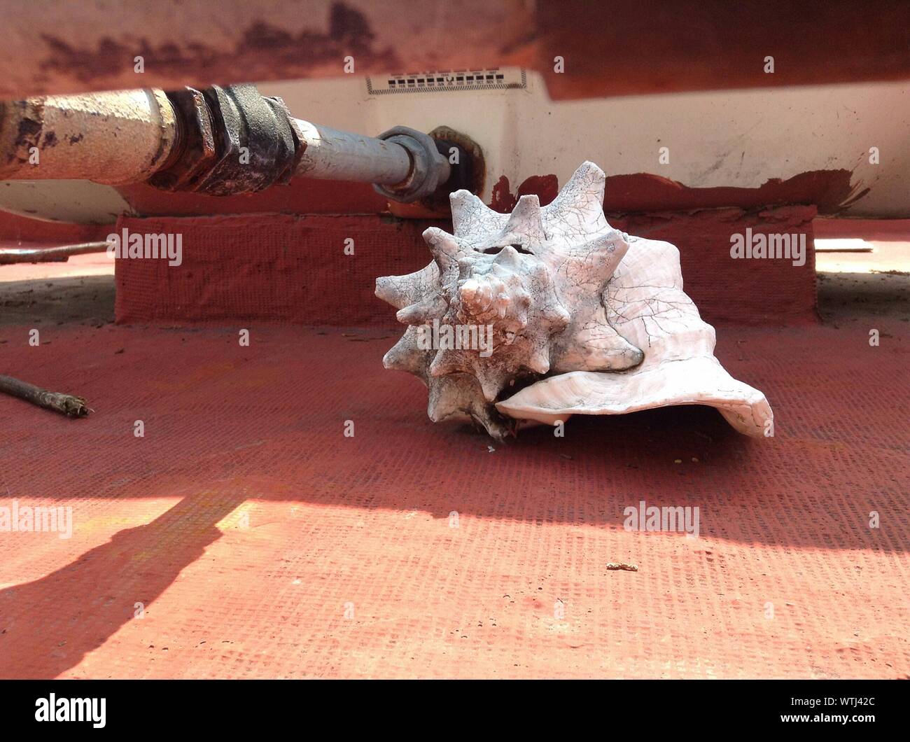 Pipe shell hi-res stock photography and images - Alamy