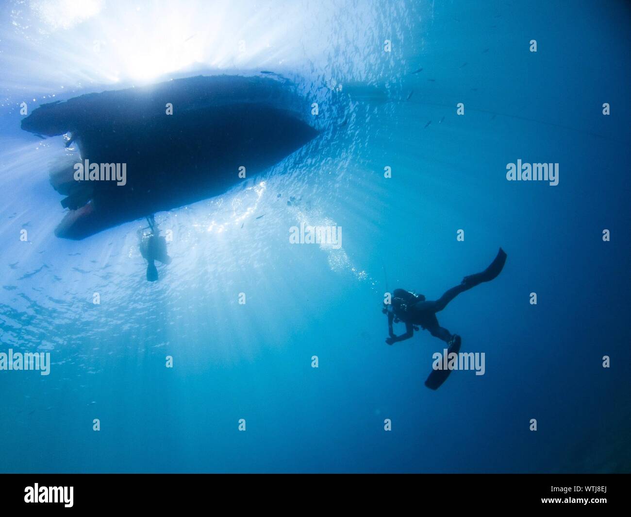 Underwater Shot With Diver High Resolution Stock Photography and Images ...