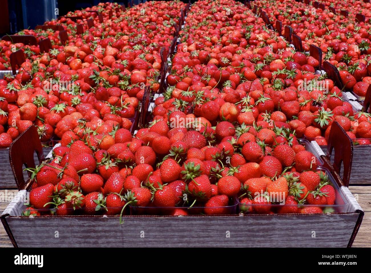 Boxes strawberries hi-res stock photography and images - Alamy