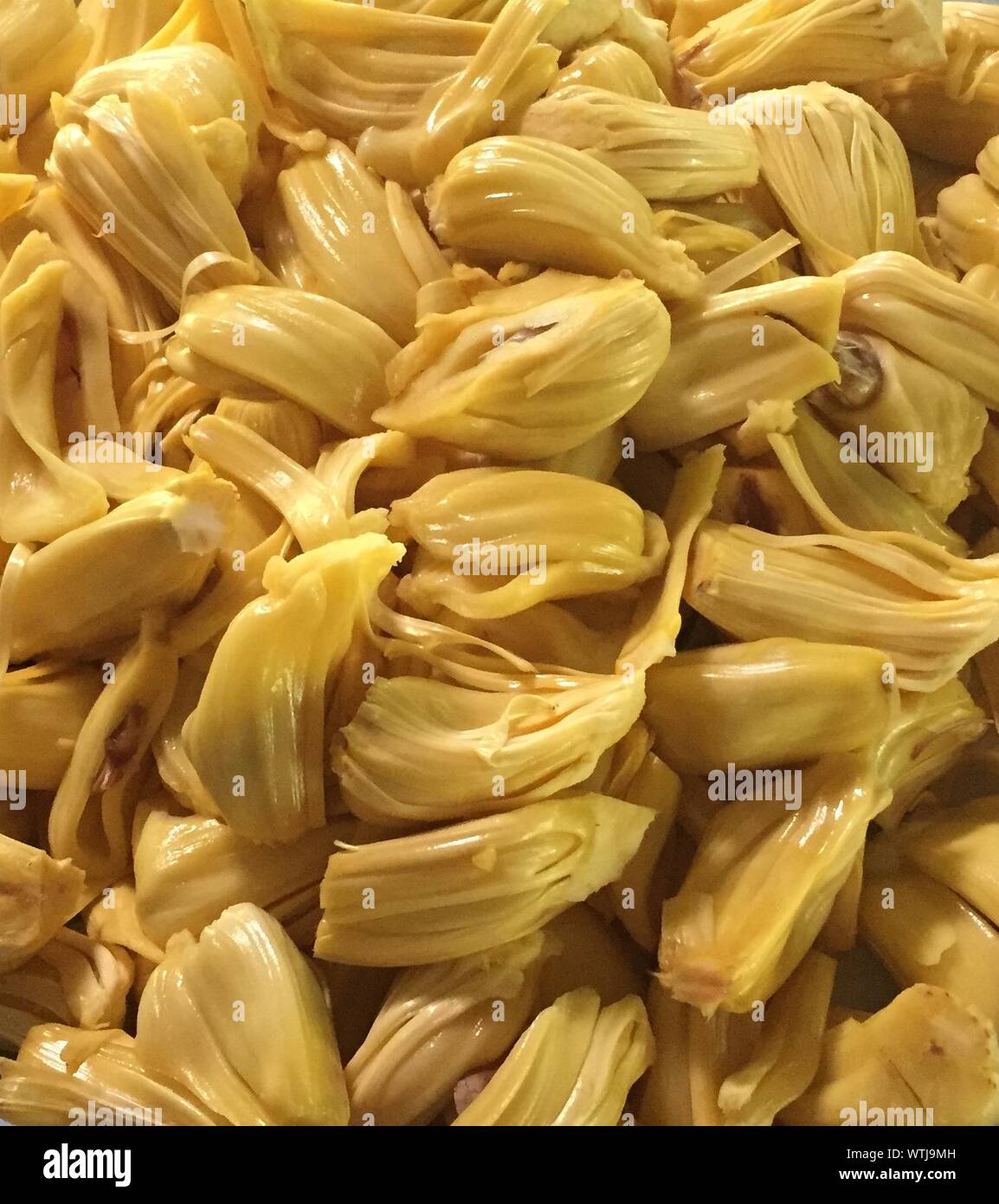Jackfruit Eating High Resolution Stock Photography and Images - Alamy