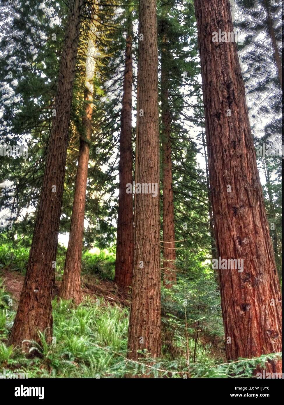 Striving For Peace High Resolution Stock Photography and Images - Alamy