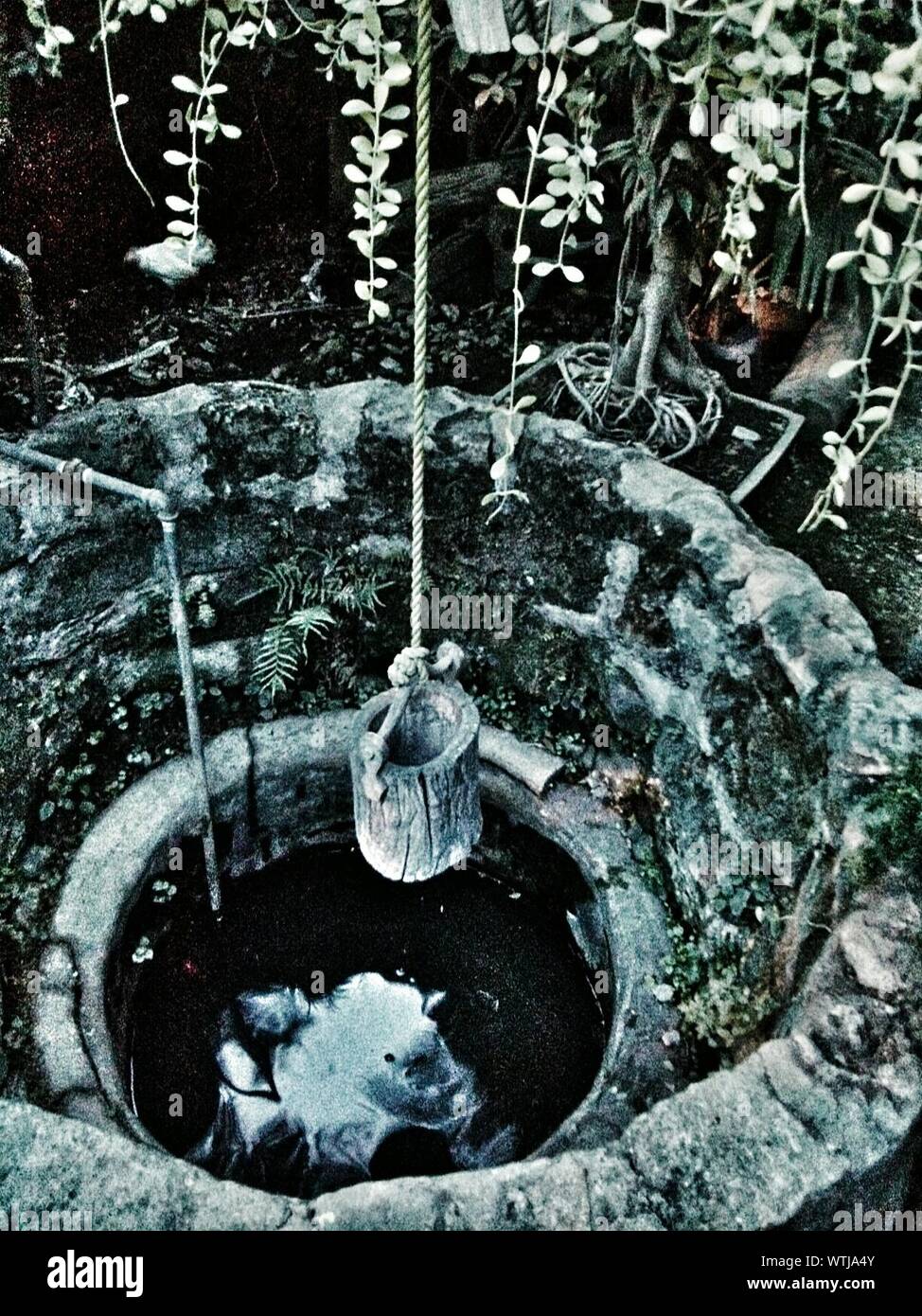 Hanging Water Bucket High Resolution Stock Photography and Images - Alamy