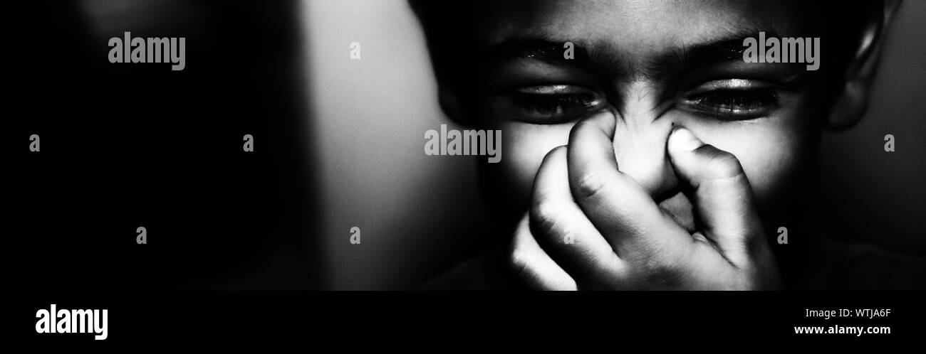 Front nose view hi-res stock photography and images - Alamy