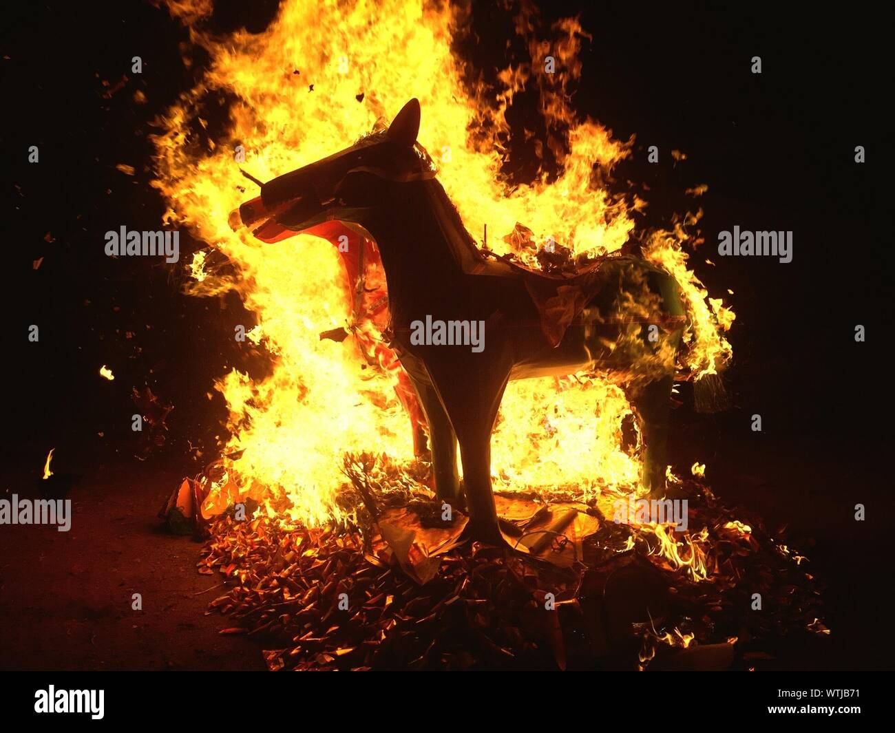 Fire horses hi-res stock photography and images - Alamy