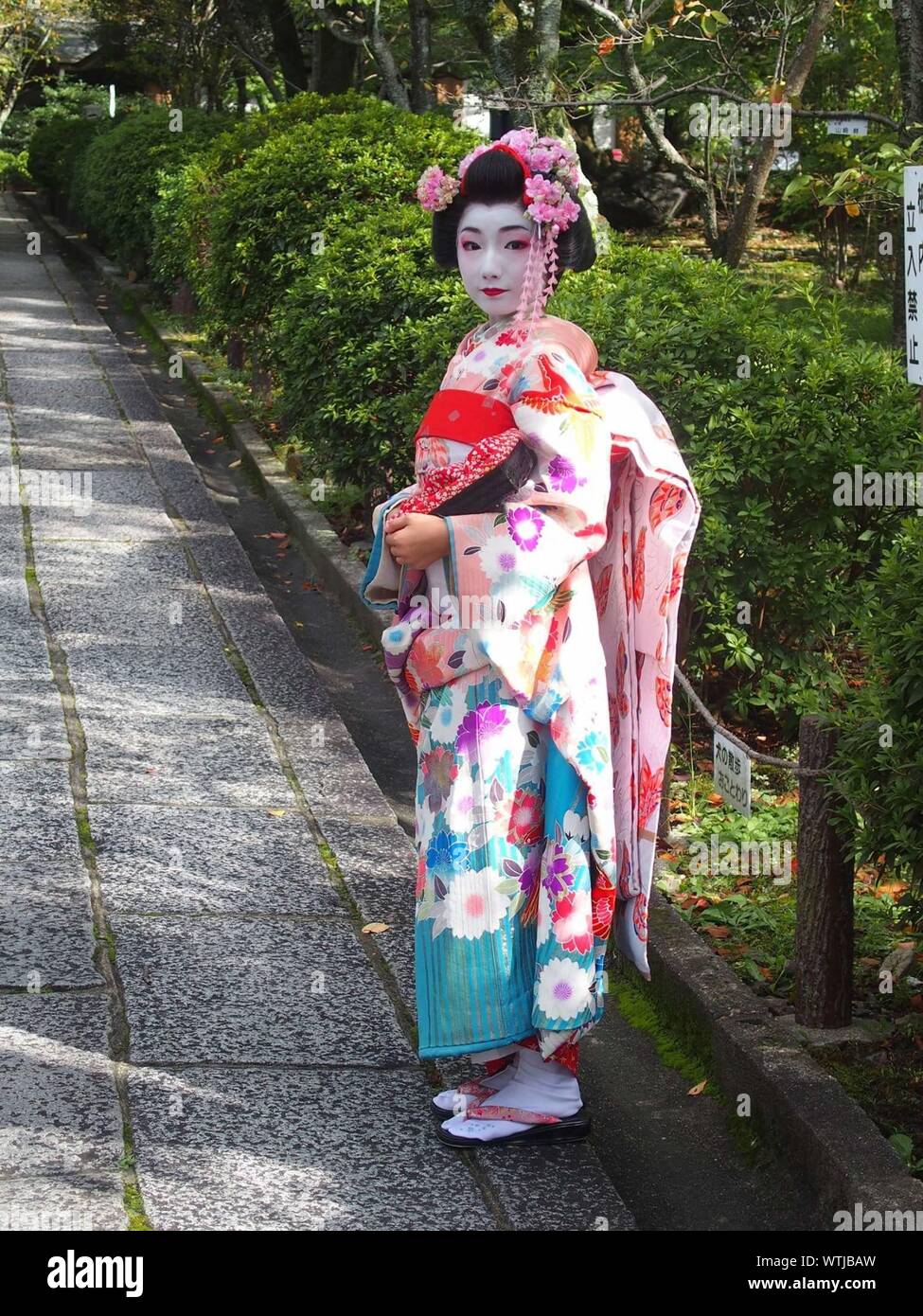 Real geisha hi-res stock photography and images - Alamy