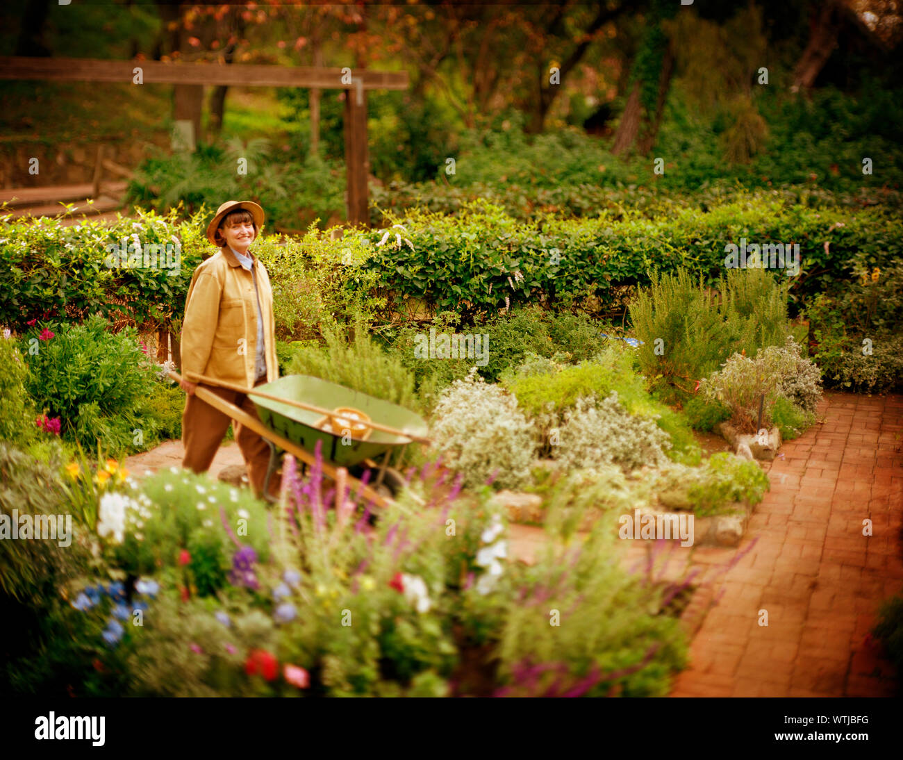 Women Pushing Wheelbarrows High Resolution Stock Photography and Images ...