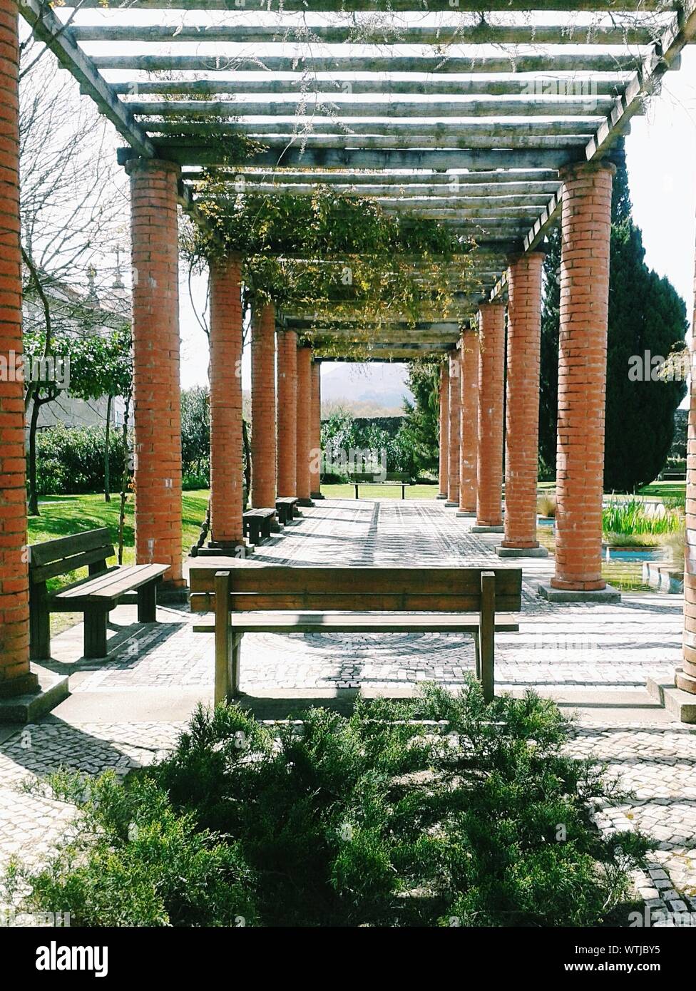 Front row forward hi-res stock photography and images - Alamy