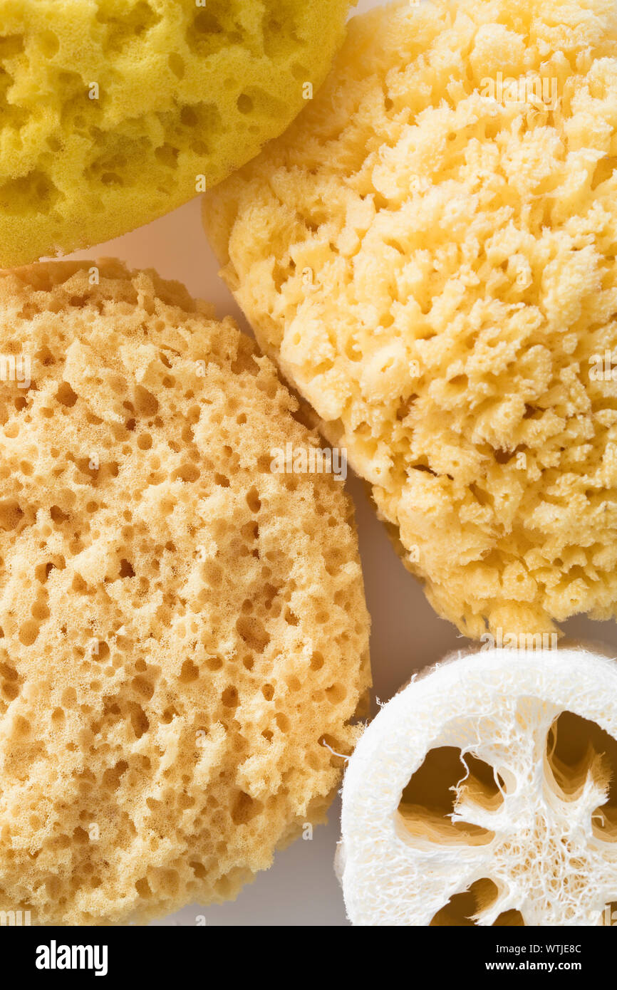 Still life yellow sponge hi-res stock photography and images - Alamy