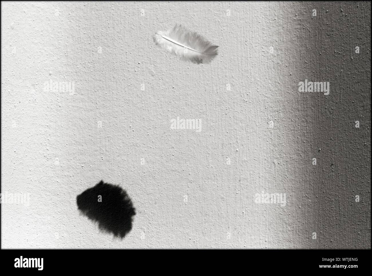 Feather Falling High Resolution Stock Photography and Images - Alamy