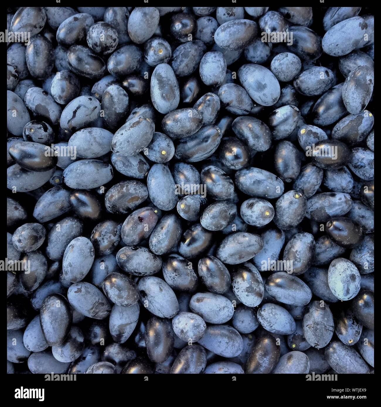 Black fruits hi-res stock photography and images - Alamy
