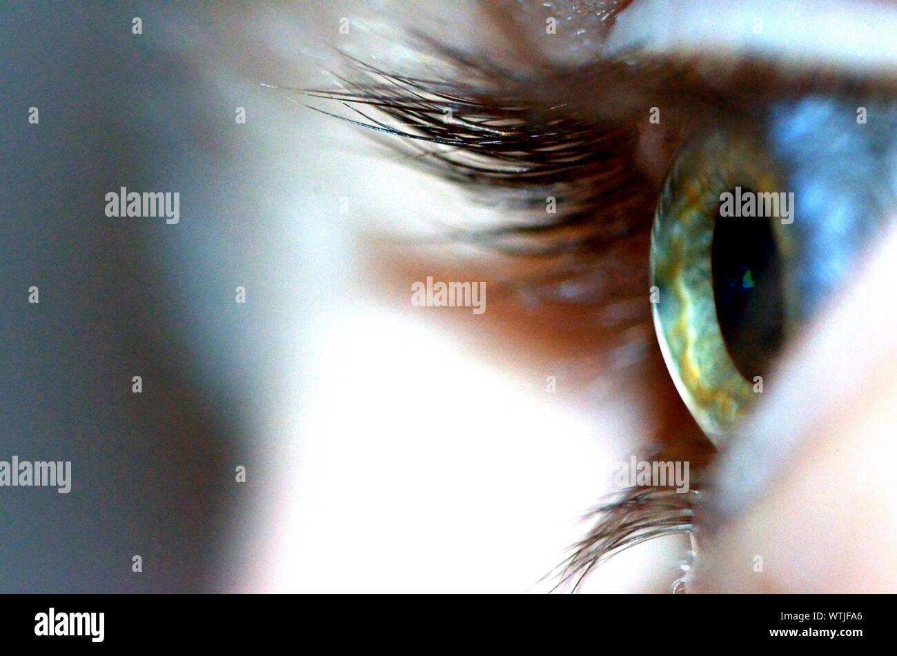 Human eye side view hi-res stock photography and images - Alamy