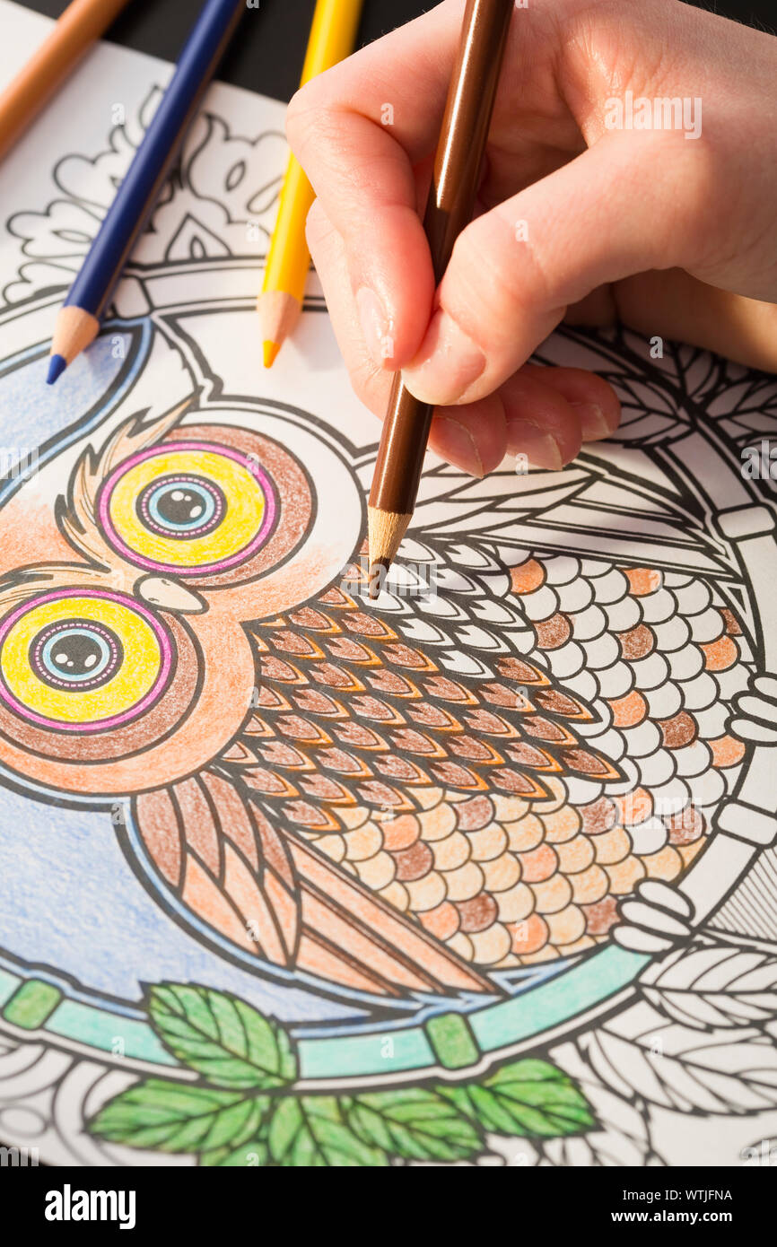 Hand coloring hi-res stock photography and images - Alamy