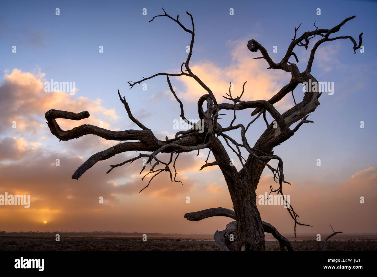 Australia dust storm 2019 hi-res stock photography and images - Alamy