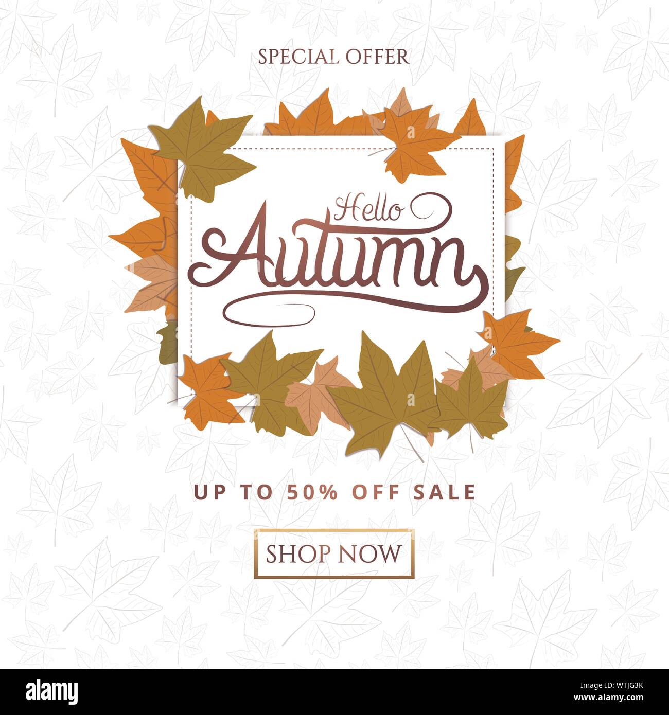 Abstract colorful leaves decorated background for Hello Autumn ...