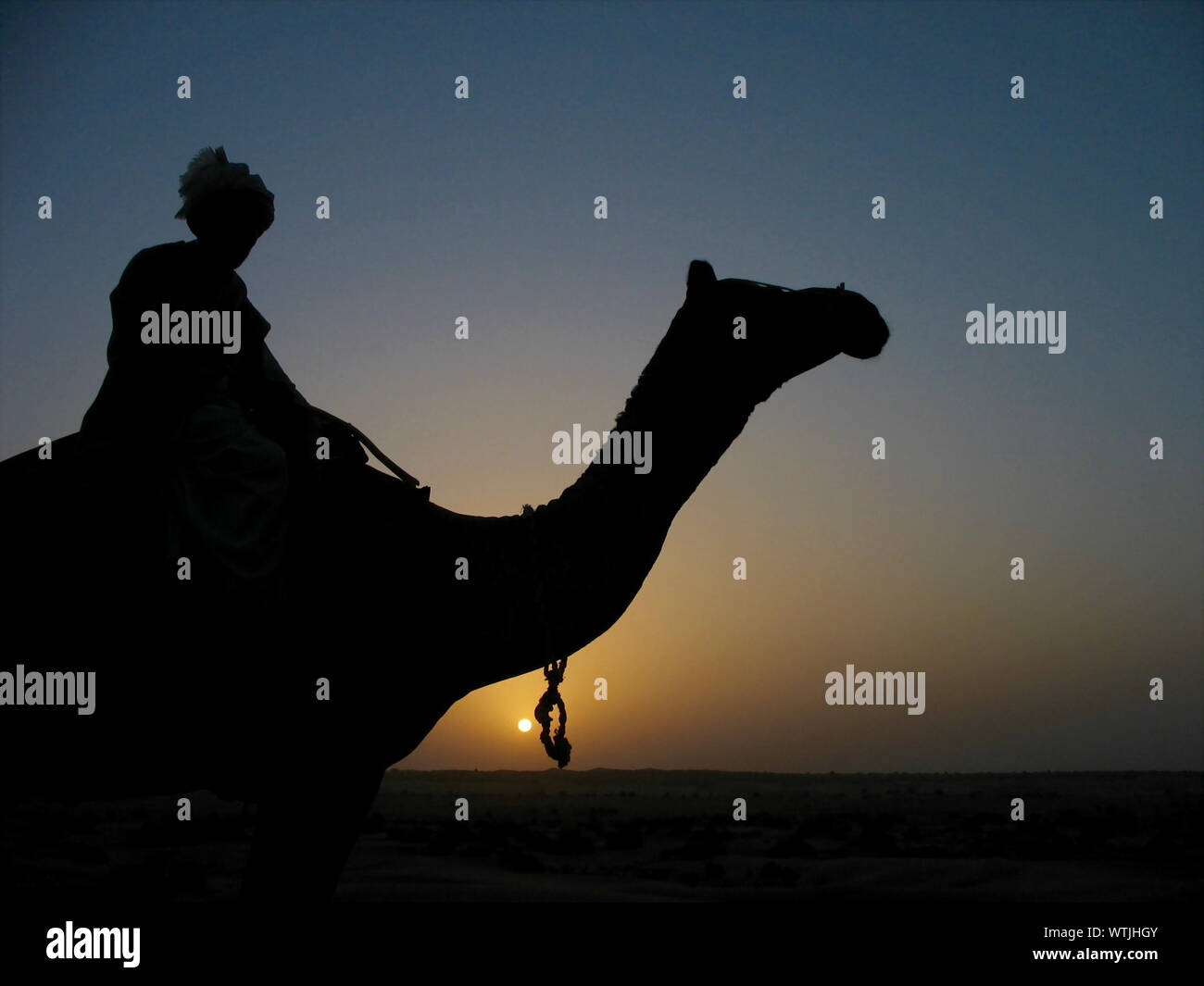Person Riding Camel Silhouette High Resolution Stock Photography and ...