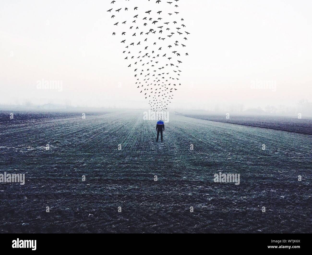 Watching for birds hi-res stock photography and images - Alamy