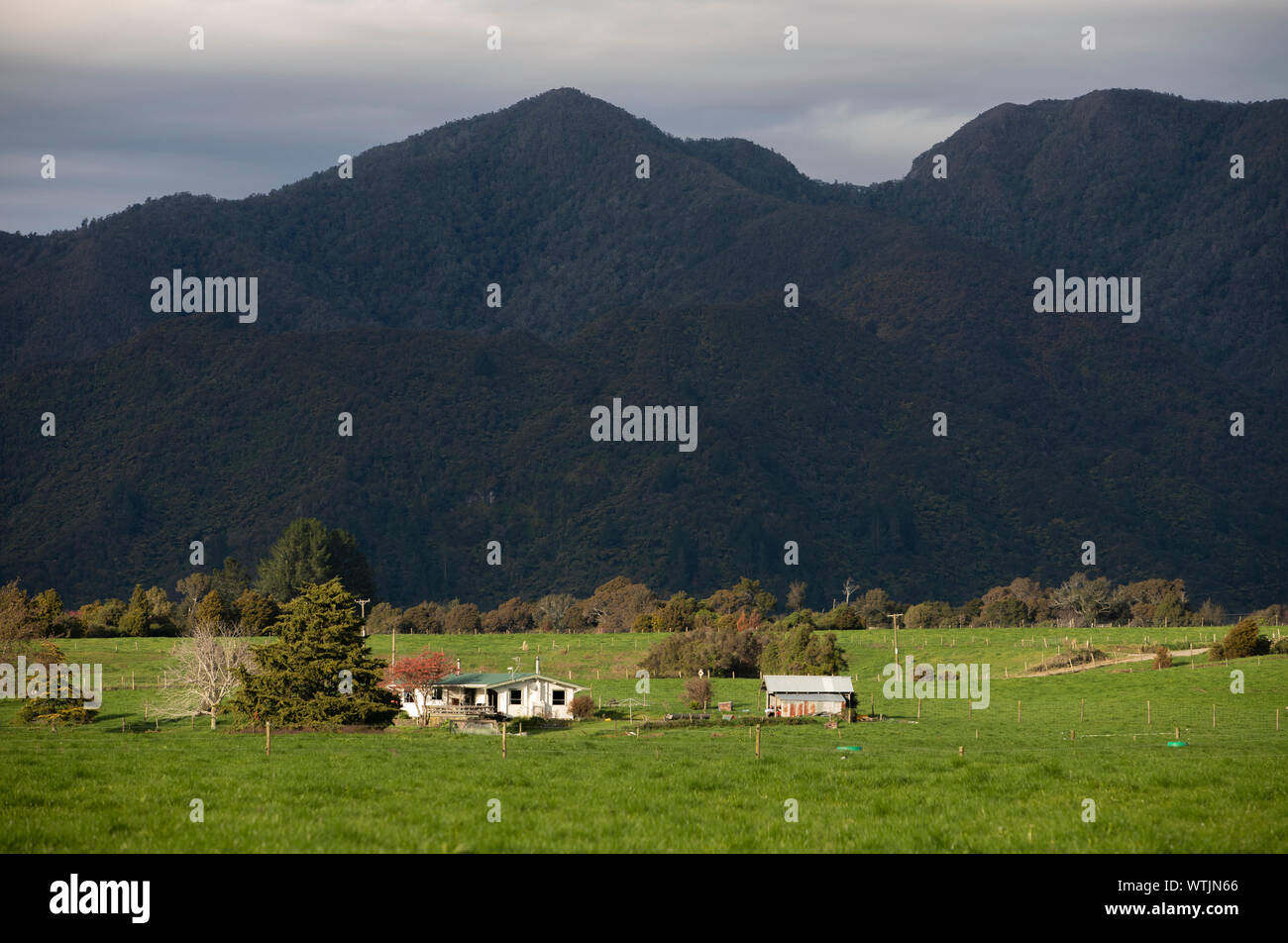 Farming, New Zealand Stock Photo - Alamy