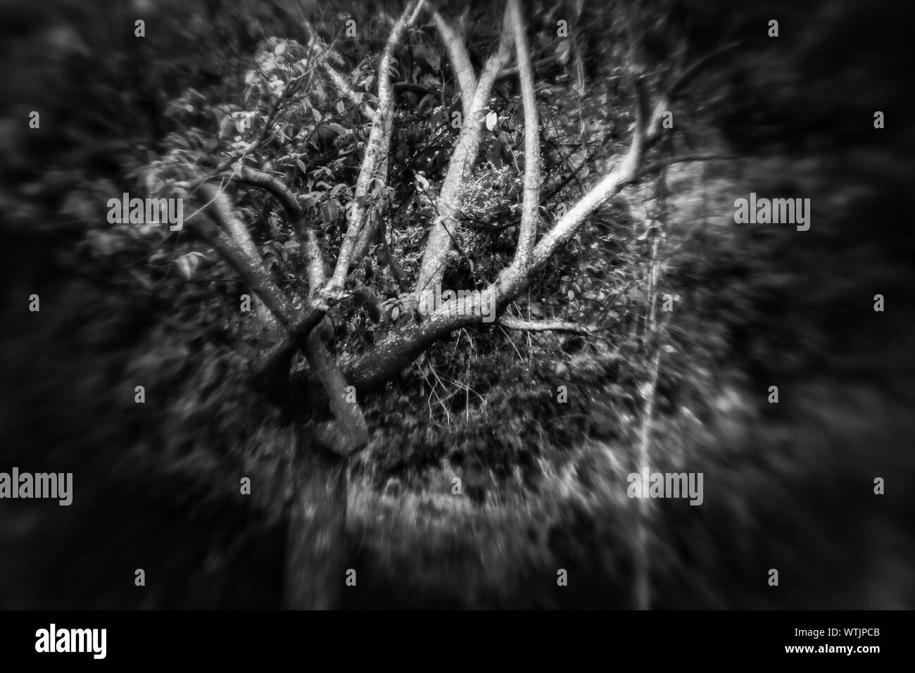 Zoom vacations hi-res stock photography and images - Alamy