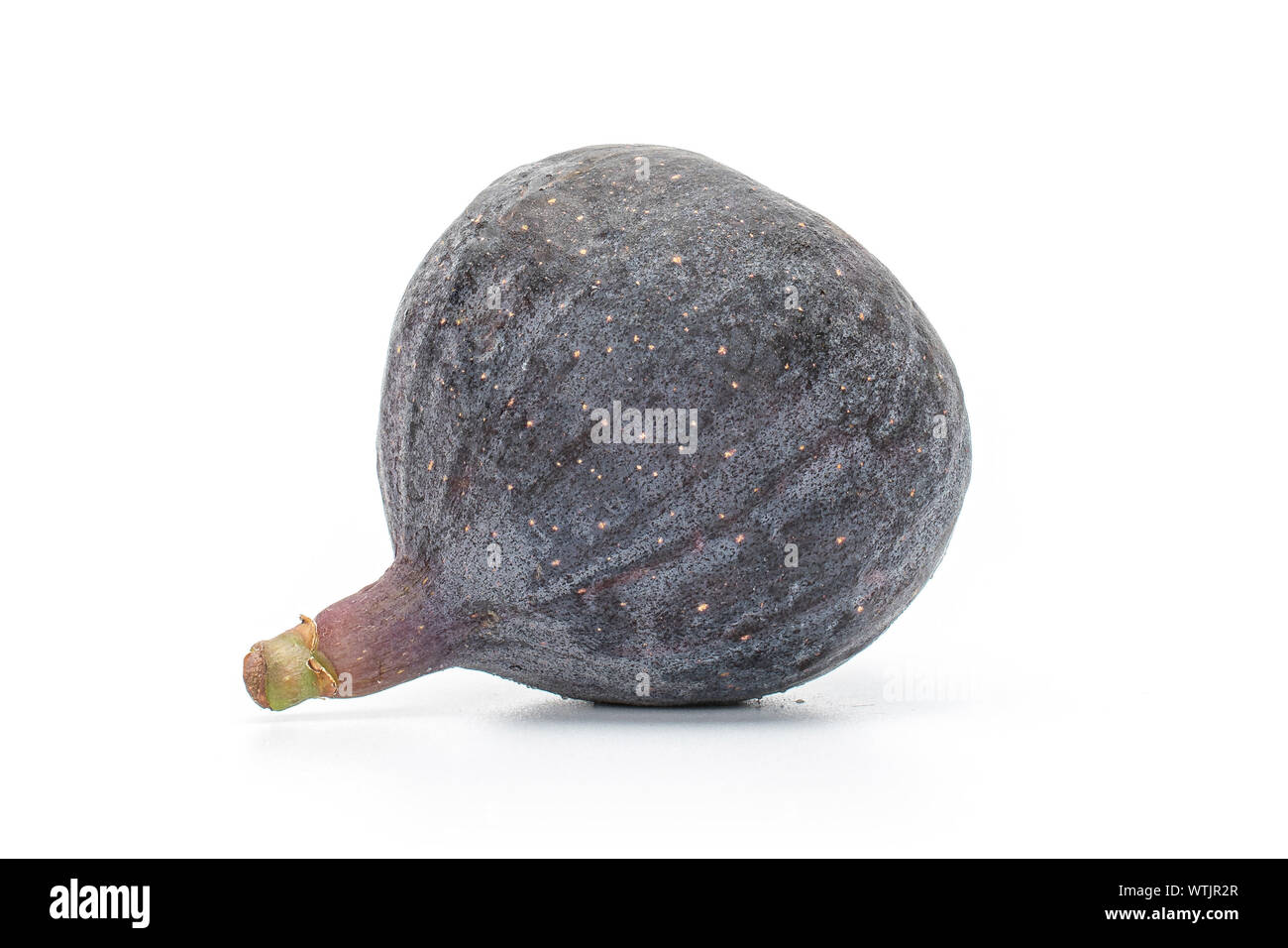 One whole fresh fig fruit isolated on white background Stock Photo - Alamy