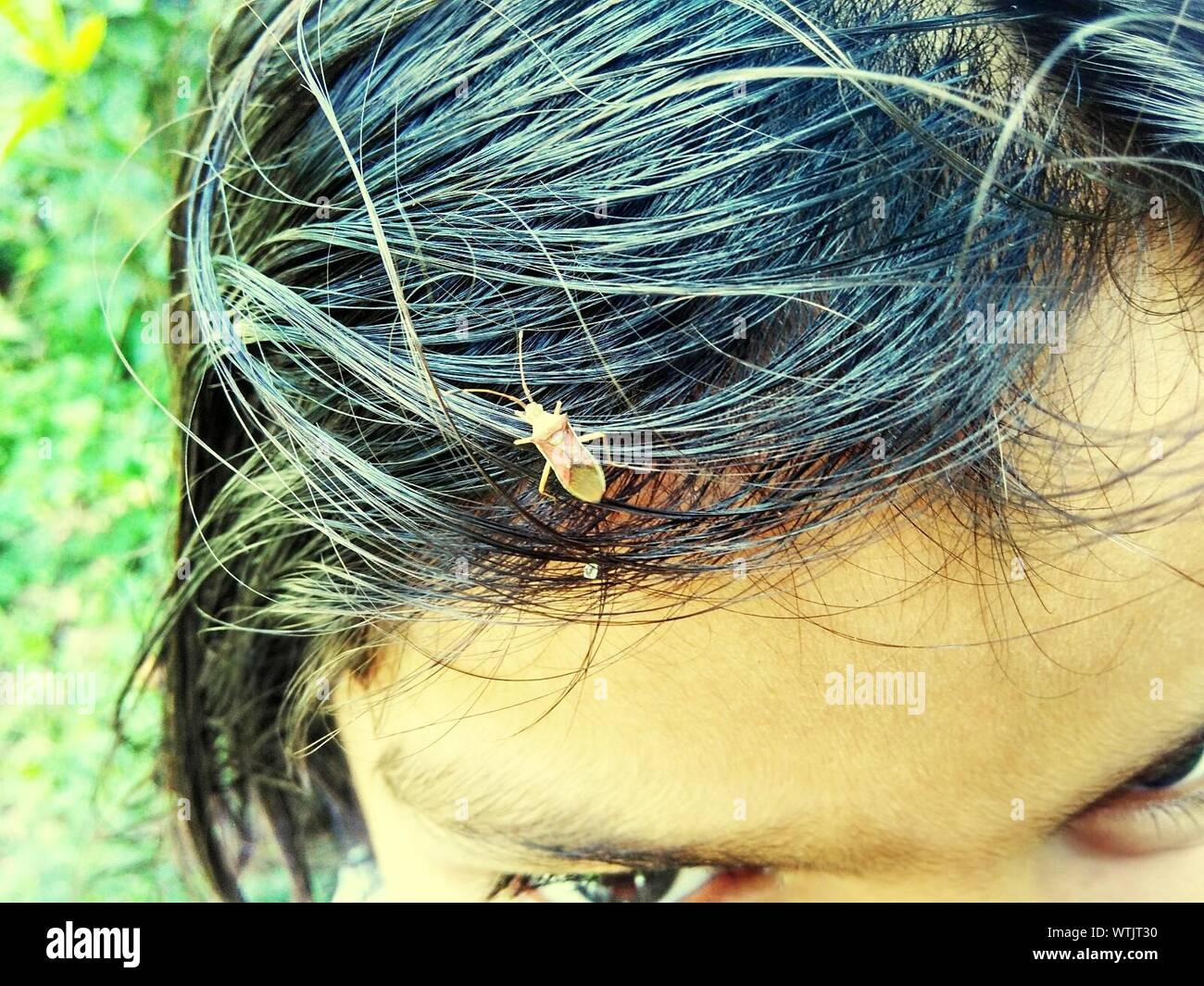 Hair girls hi-res stock photography and images - Alamy