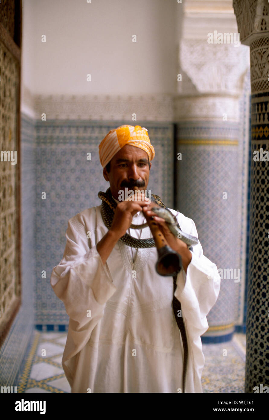 Man charming a snake in a mosaic tiled room Stock Photo - Alamy