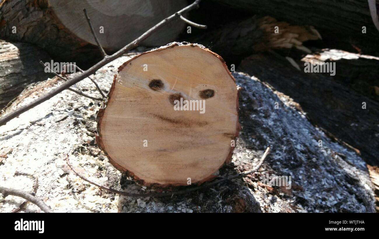 Anthropomorphic face on wood hi-res stock photography and images - Alamy