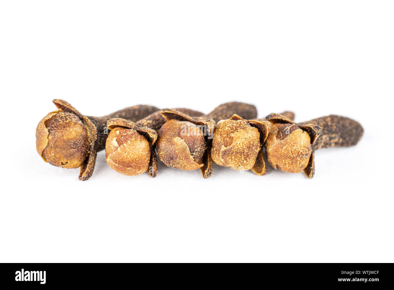 Group of five whole dry brown clove isolated on white background Stock ...