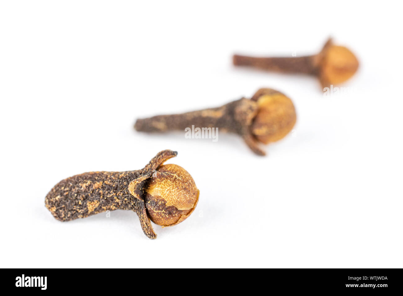 Group of three whole dry brown clove isolated on white background Stock ...