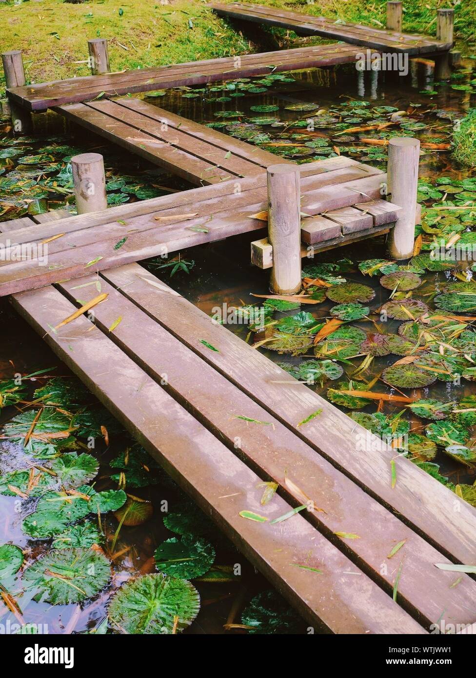 Bridge over the lily pond hi-res stock photography and images - Alamy