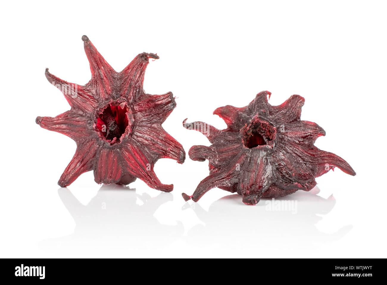 Group of two whole sweet red candied hibiscus isolated on white ...