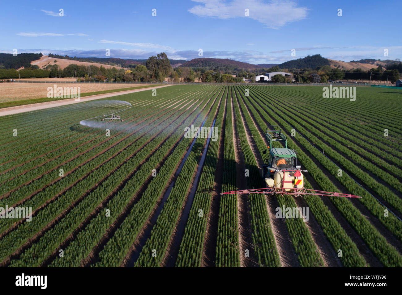 Nursery near hi-res stock photography and images - Alamy