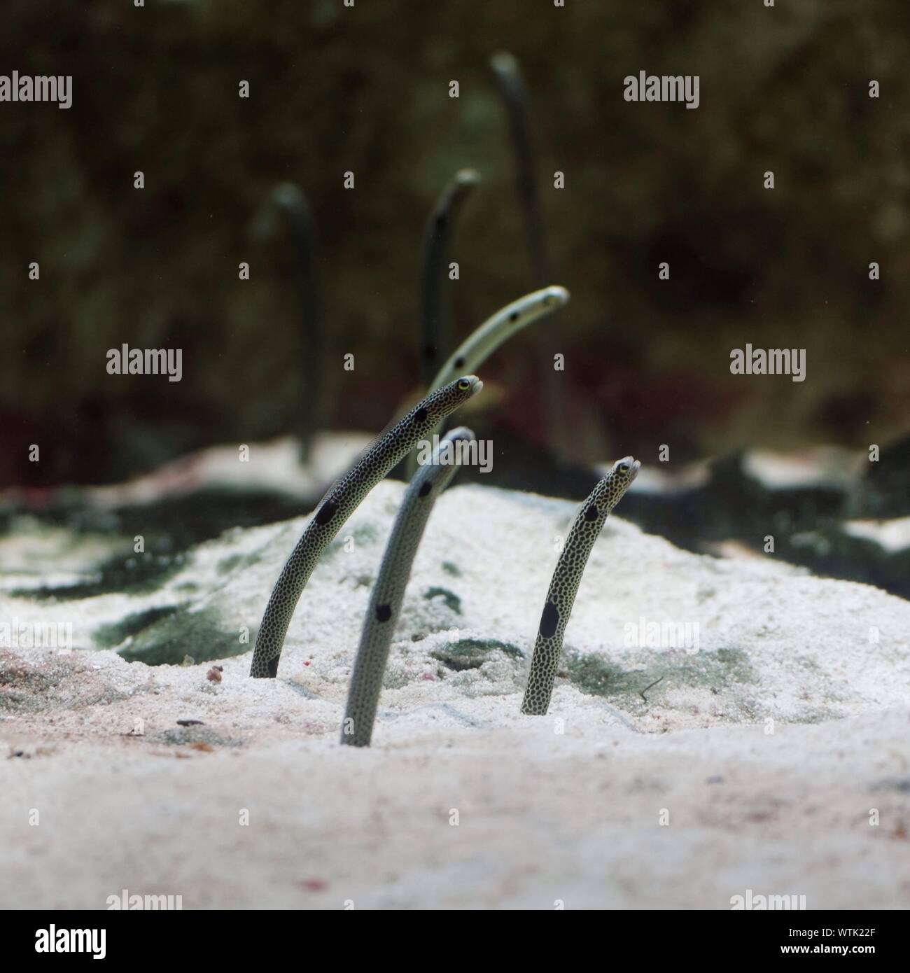 Jutting hi-res stock photography and images - Alamy