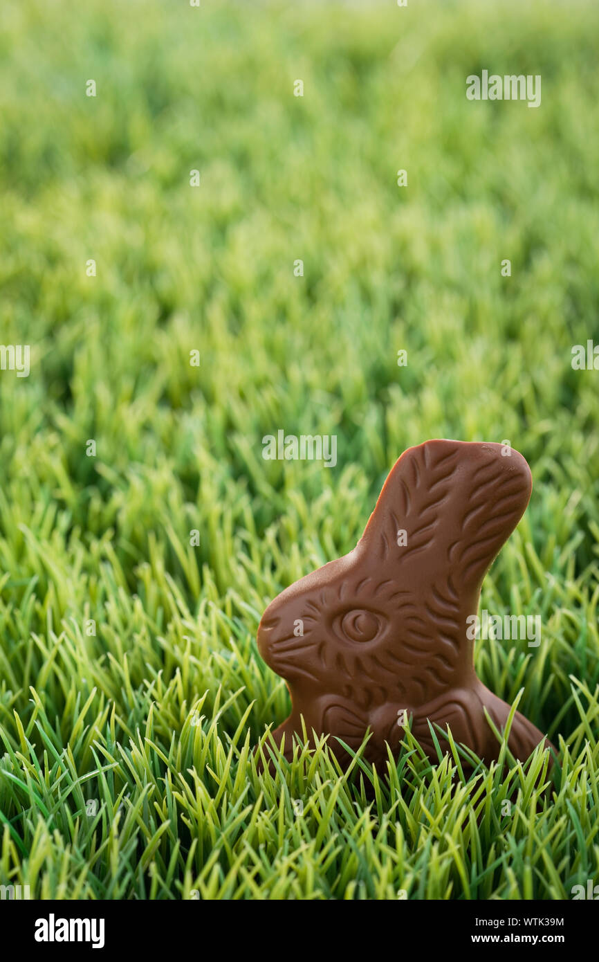 Chocolate Easter bunny in grass Stock Photo - Alamy