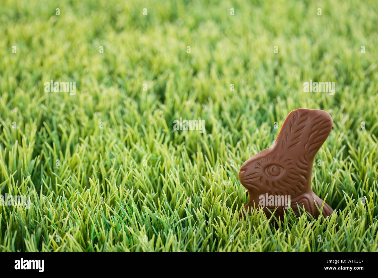 Chocolate Easter bunny in grass Stock Photo - Alamy