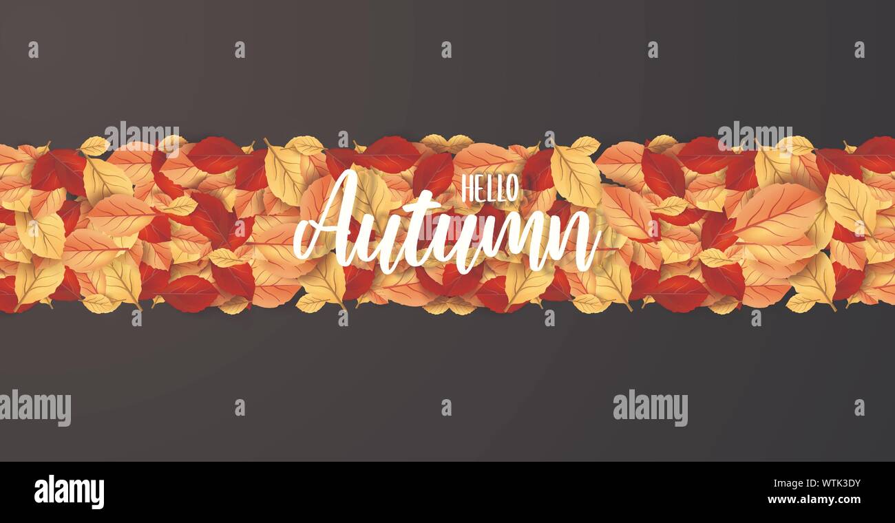 Abstract colorful leaves decorated background for Hello Autumn ...