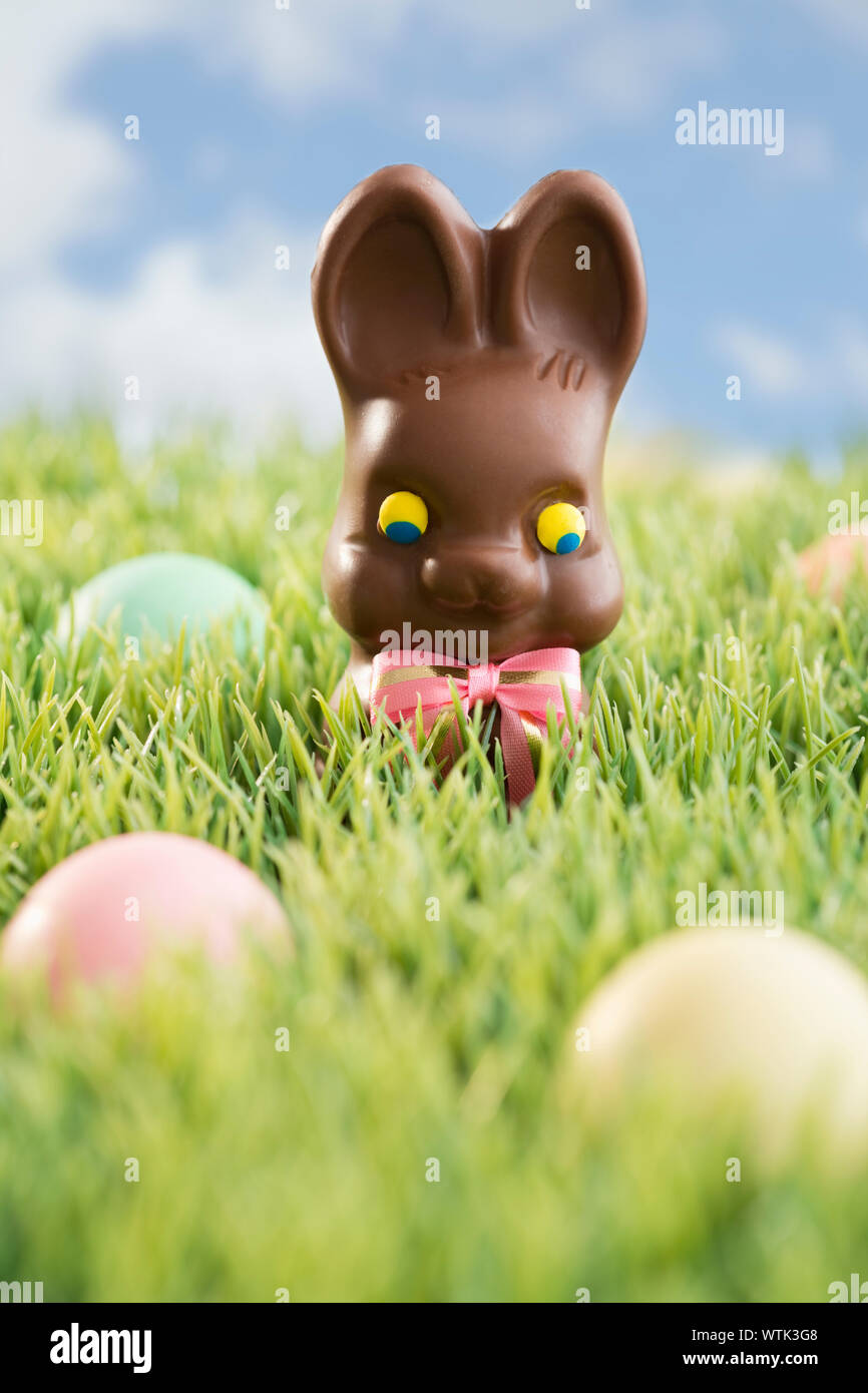 Easter bunny in grass hi-res stock photography and images - Alamy