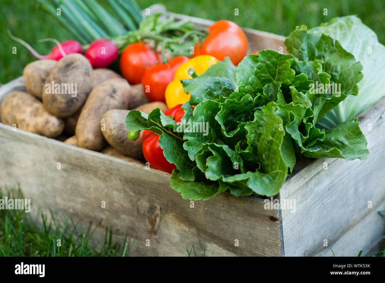 Wooden crate of fresh vegetables hi-res stock photography and images ...