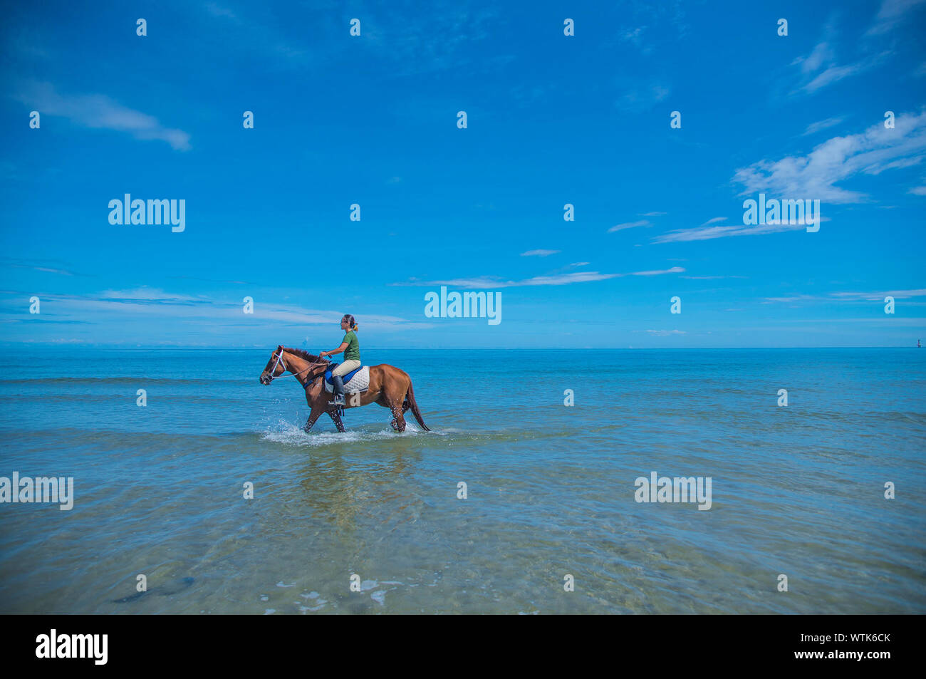 Woman riding horse sea hi-res stock photography and images - Alamy