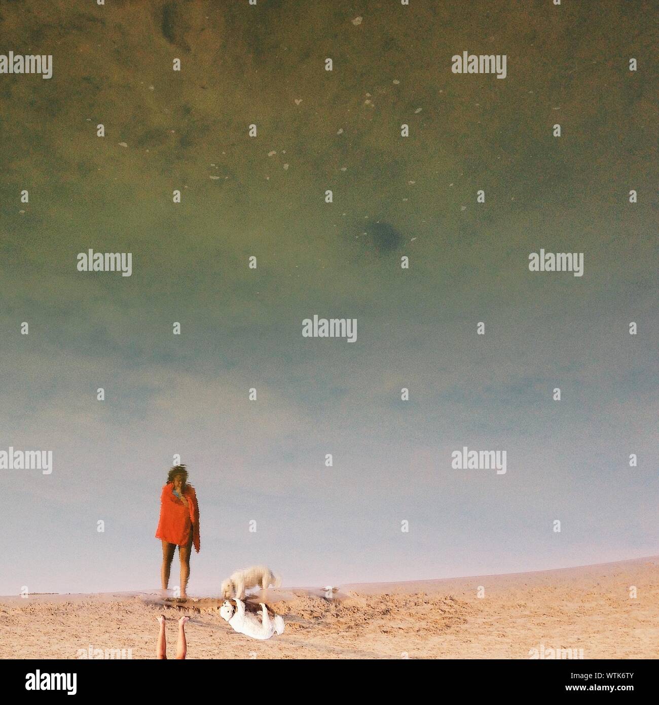 Woman dog water hi-res stock photography and images - Alamy