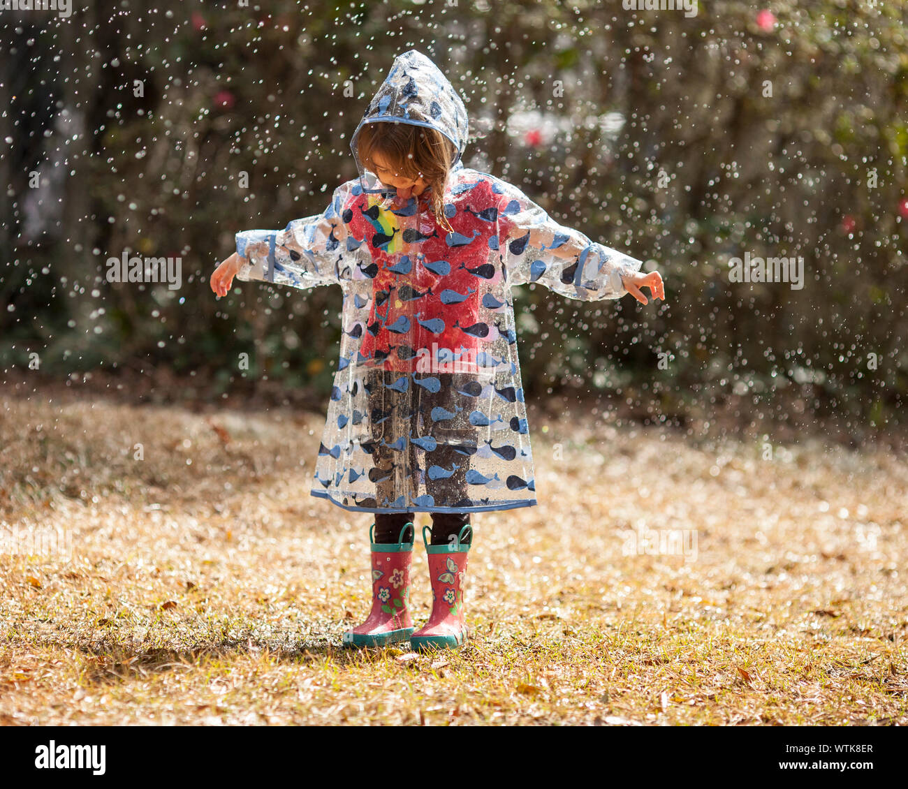 Rubber Boots In Water High Resolution Stock Photography and Images - Alamy