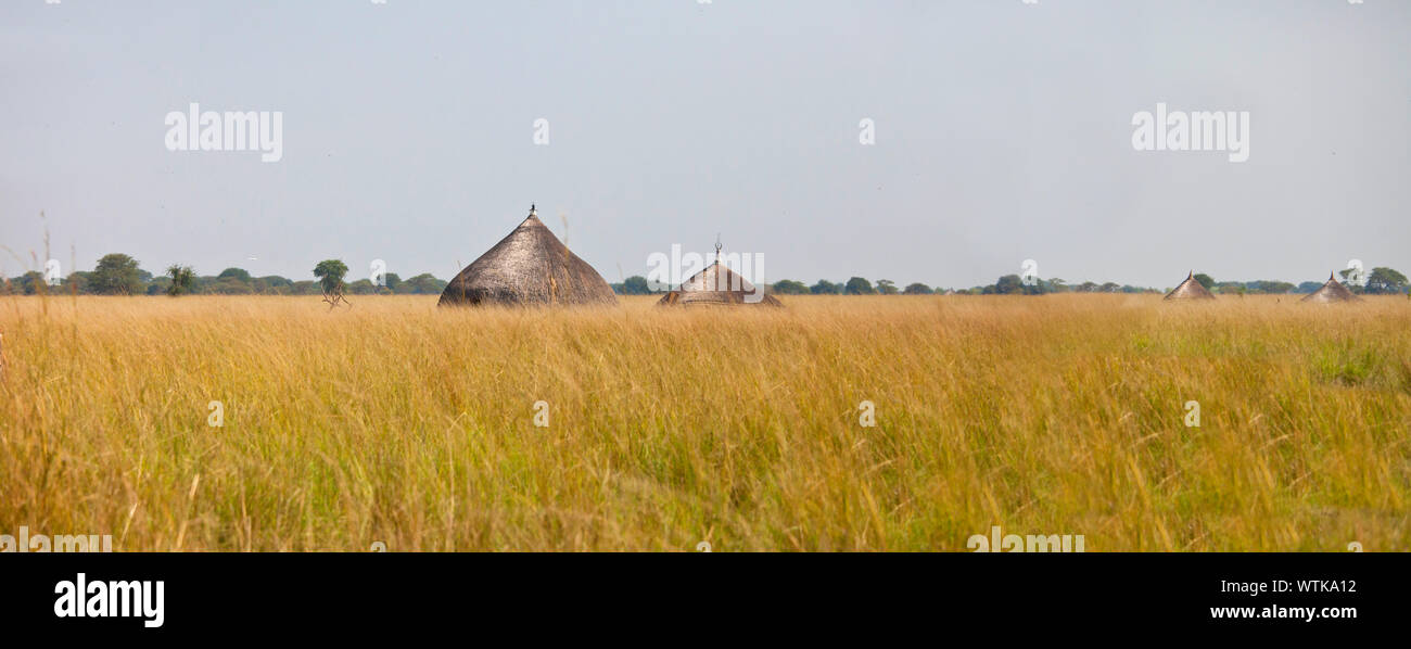 panorama of grassland and traditional huts in south sudan Stock Photo ...