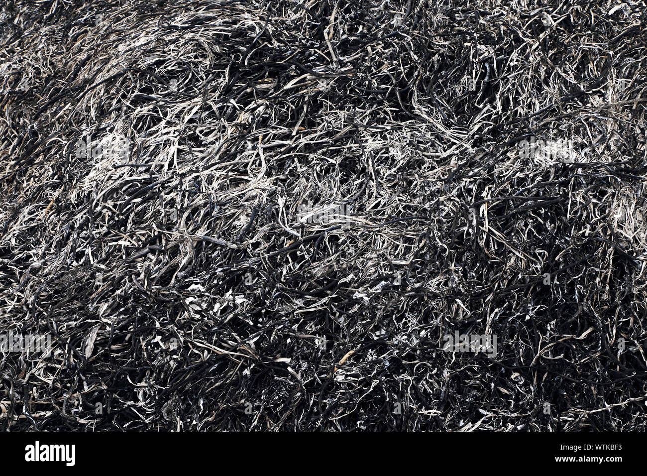 Full of ashes hi-res stock photography and images - Alamy