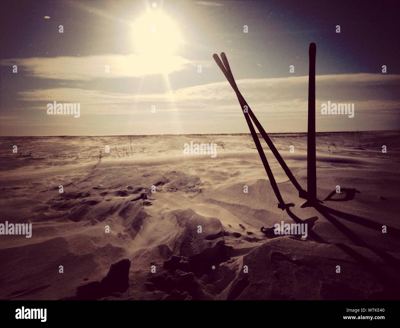 Sun flare in the desert hi-res stock photography and images - Alamy
