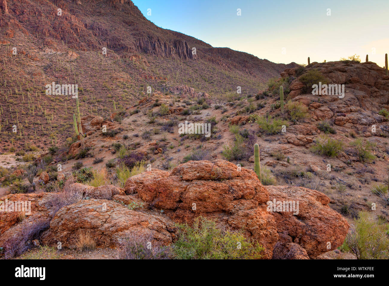 Image of the desert hi-res stock photography and images - Alamy