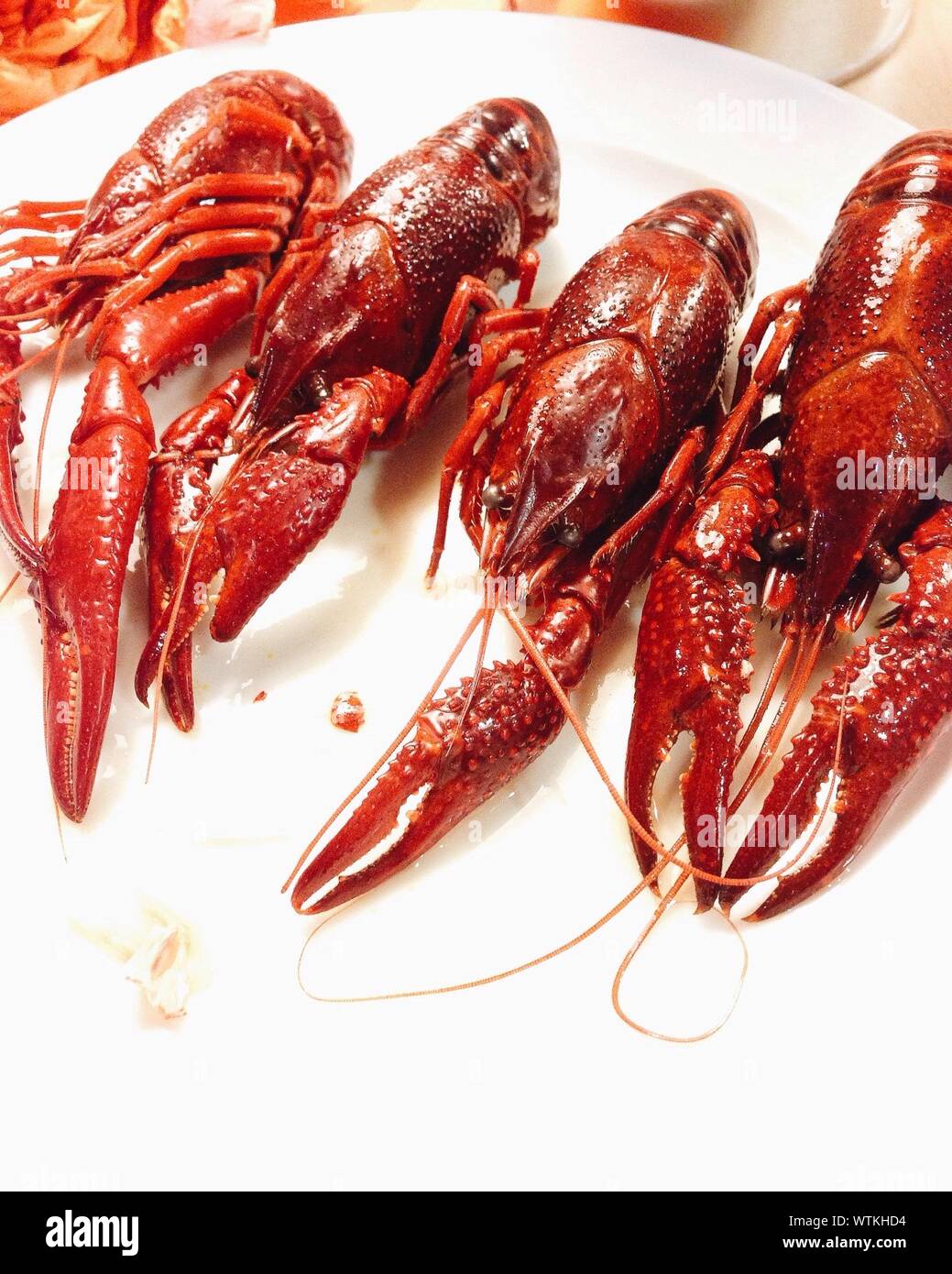 Red lobster cooked lobsters hi-res stock photography and images - Alamy
