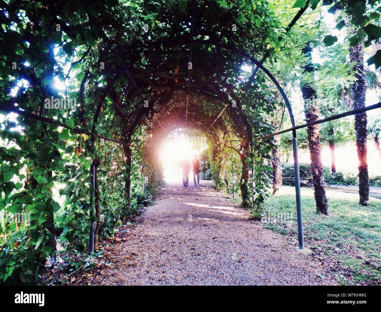 Plants covered walkway hi-res stock photography and images - Alamy