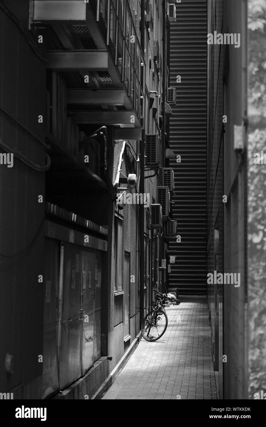 Pathway walkway Black and White Stock Photos & Images - Alamy