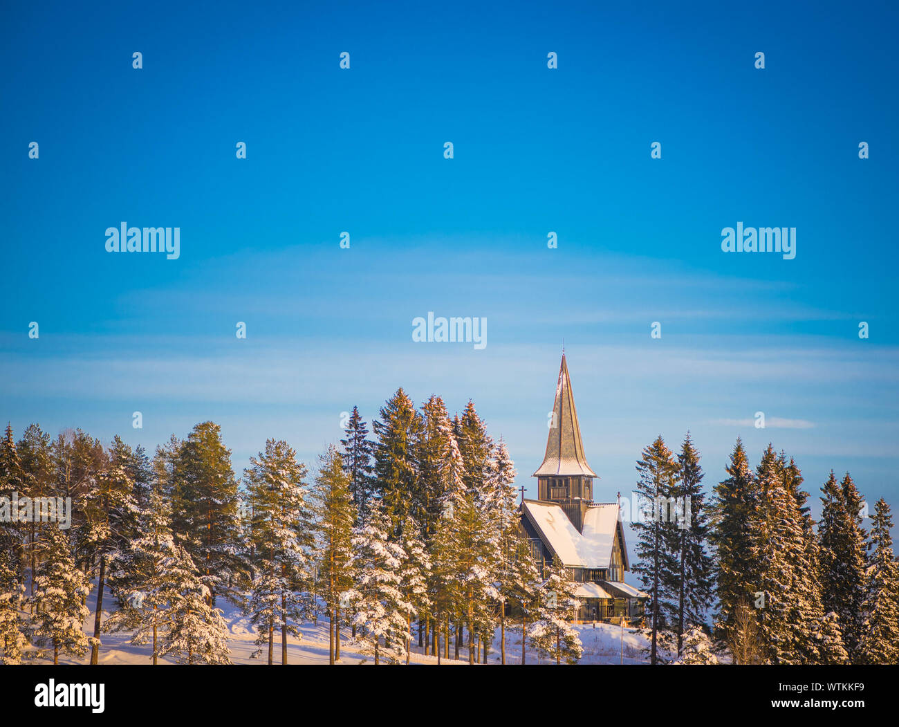 Worship pine tree hi-res stock photography and images - Alamy