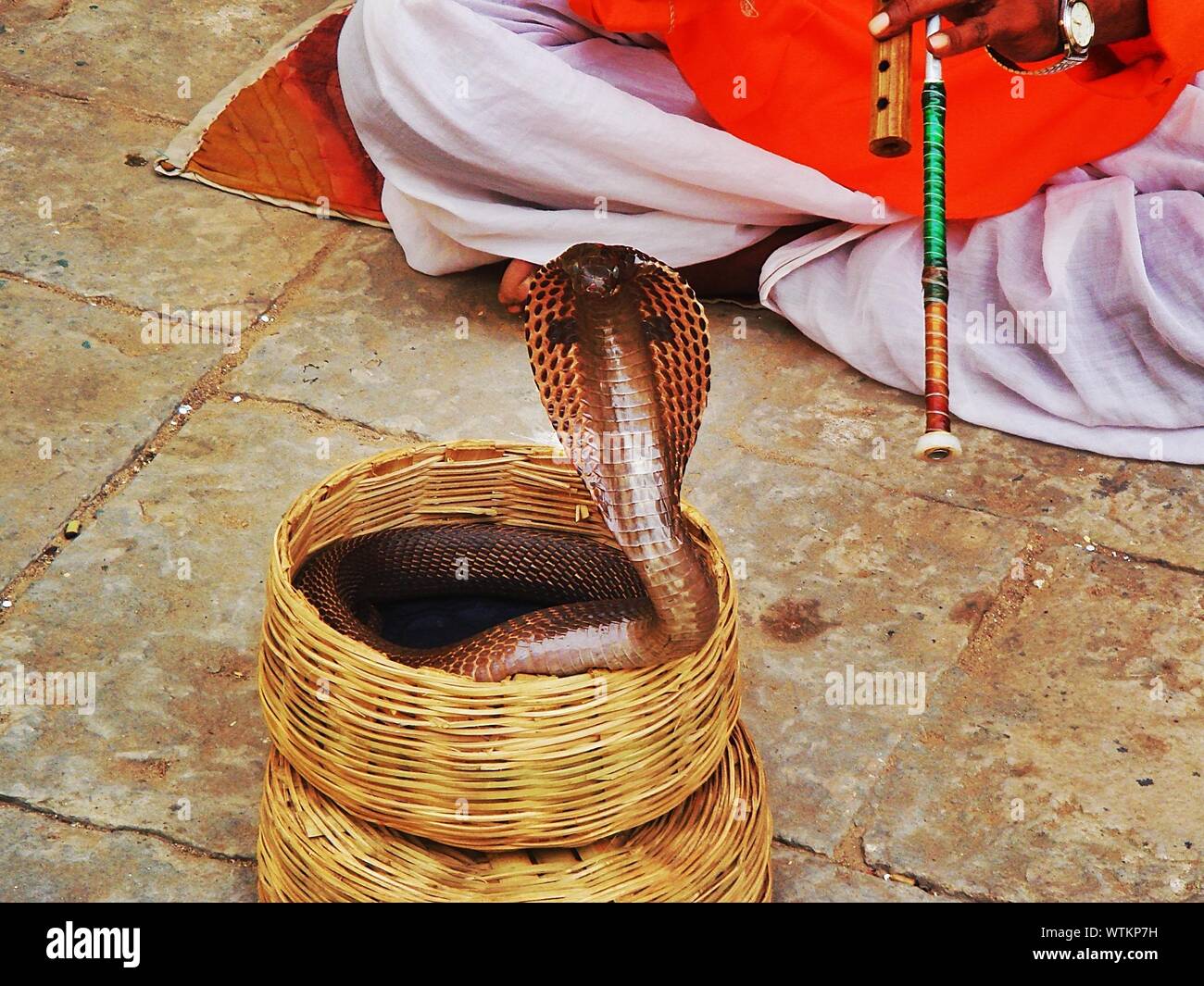 Snake entertainment hi-res stock photography and images - Alamy