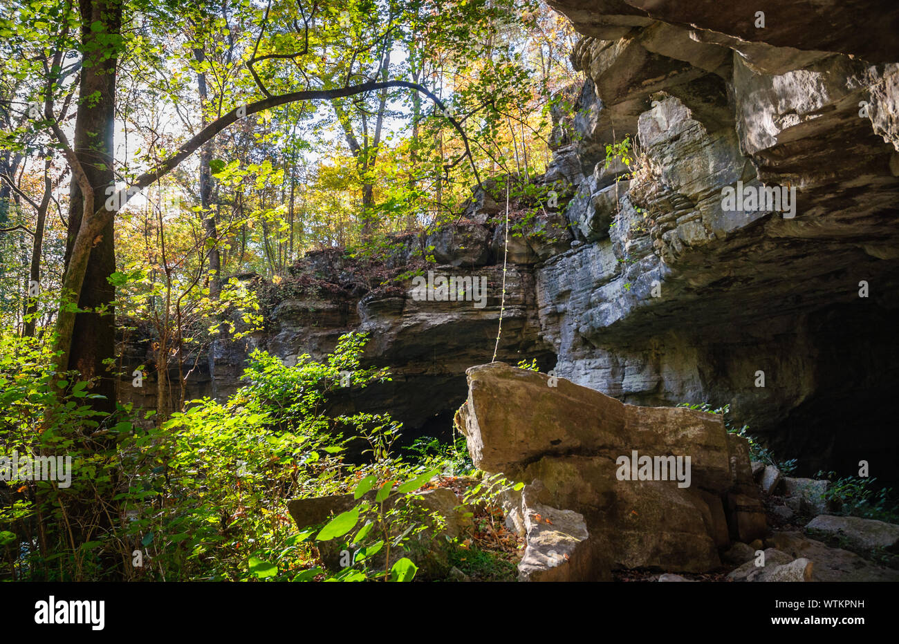 The rugged cliffs of Russell Cave National Monument Stock Photo - Alamy